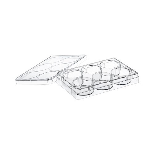 657185 • Greiner Bio-One® Cellstar® Cell Culture Plate, 6-well, Flat ...