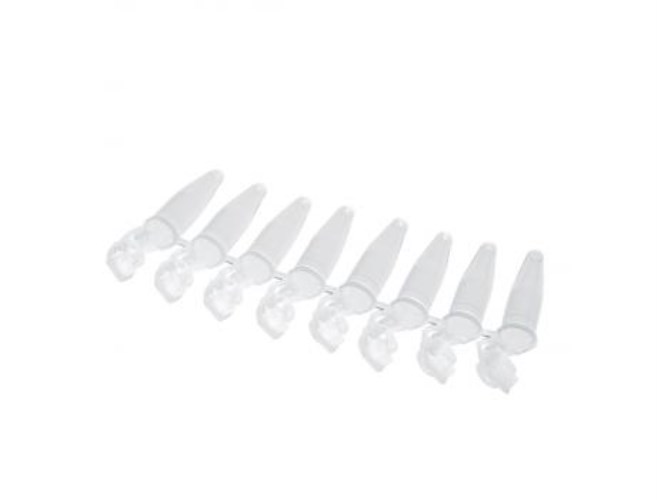 0030124359 • Eppendorf™ PCR Tubes, 0,2ml, PCR Clean, 8-tube Strips, 960 ...
