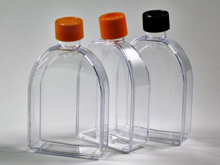 430641U • Corning® Kweekfles, 75cm², U-Vorm, Gekantelde Nek, met ...